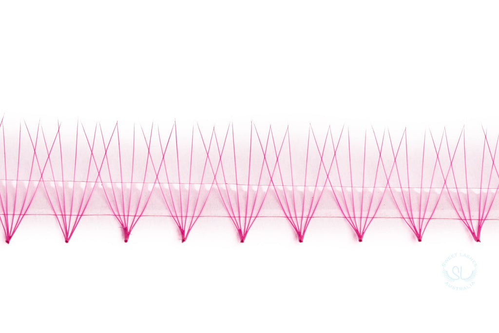 Rapid Setup Promade Pink Coloured Fans 1000 fans – Sweet Lashes Australia