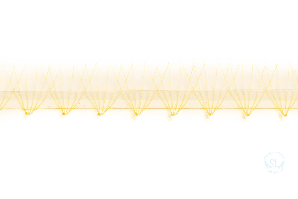 Rapid Setup Promade Yellow Coloured Fans 1000 fans – Sweet Lashes Australia